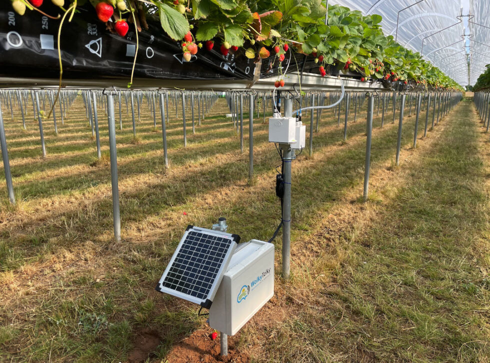 Drain Monitoring Systeem - WolkyTolky